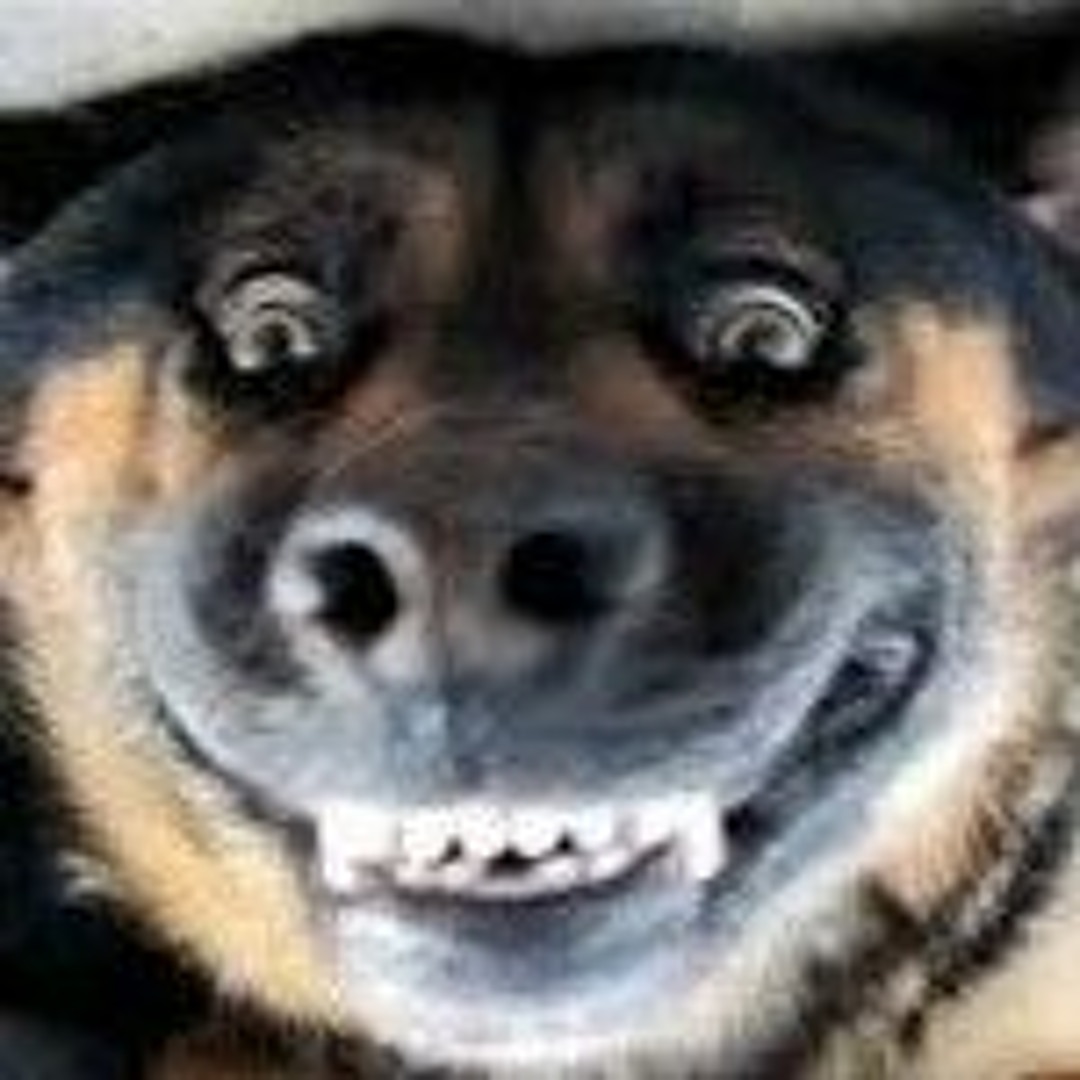 Stream FNF Opposition B Side (by maevings the guy himself by ...