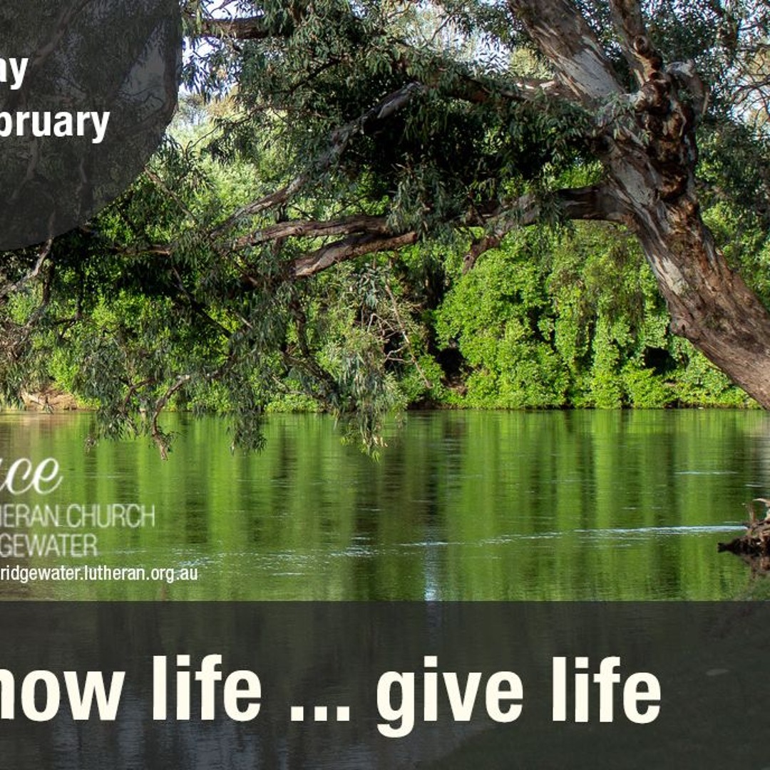 Stream Know life, give life(Pastor Peter Bean, 20 February 2022) by ...