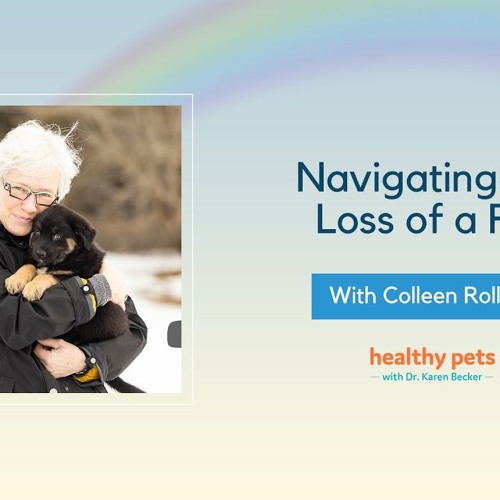 Stream Navigating the Loss of a Pet - Discussion Between Colleen ...