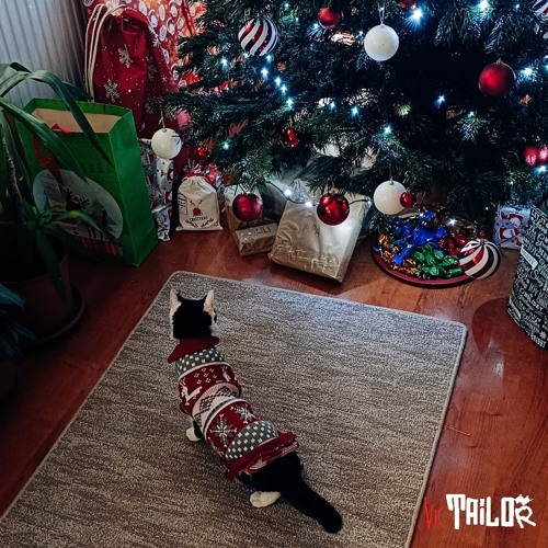 Stream Vic Tailor Listen To Xmas Freebies 2025 Playlist Online For