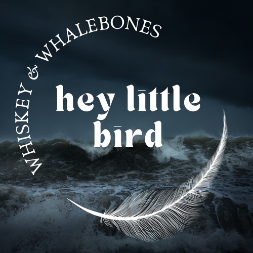 Stream Hey Little Bird by Whiskey and Whalebones | Listen online for ...