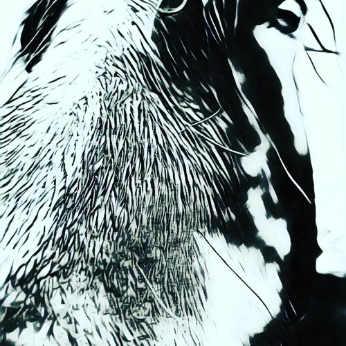 Stream Lignotuber - Tiuke by LIGNOTUBER | Listen online for free on ...