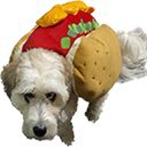 Stream r/Trance September 2024 Mix Competition - The Mega-Mini Mix ...