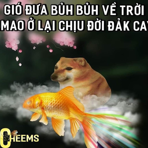 Stream Cheems hít Ketamime ( ko phải hit the woah ) Albủm | made on the ...