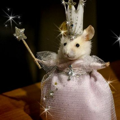 Stream Tracy & Grace's Fight - Molly Ryan by Sarah Lawrence Radio ...