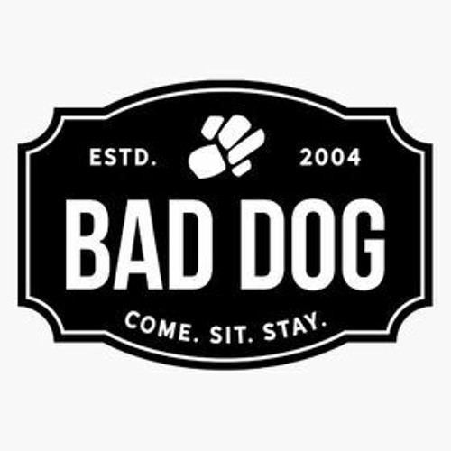 Stream COVID - 19 Jason Winter Owner Bad Dog Restaurant Mar 1st 2021 by ...