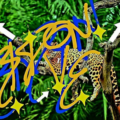 Stream Bk Don Vs Jungle Rap Attack 2023!!! by Brooklyn Don | Listen ...