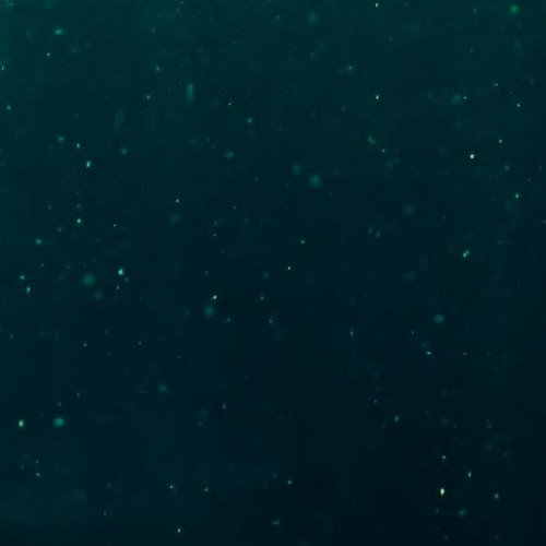 Stream Undersea By Rachel Carson, Poem 2 by Ocean KAN | Listen online ...