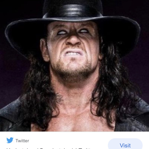 Stream Undertaker - Amina Rose by Amina Rose | Listen online for free ...