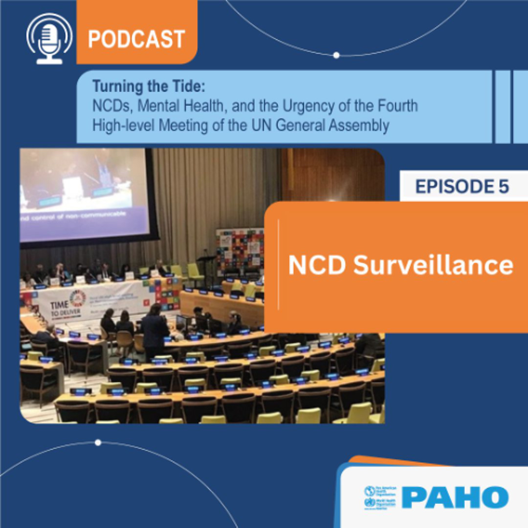 Listen to NCD Surveillance - UNGA Fourth High-Level Meeting on NCDs and ...