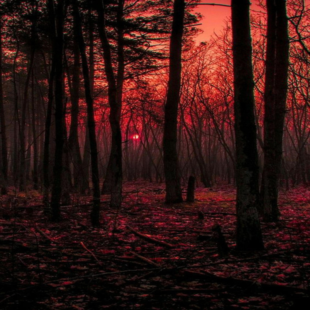 Stream All I Need by nudy1 | Listen online for free on SoundCloud