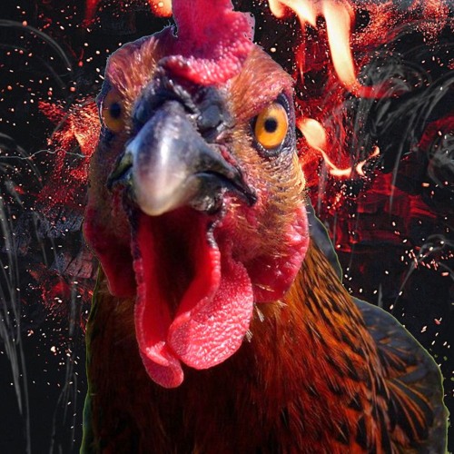 Annoyed Chicken The Most UNDERRATED Chicken Spot? | Angry Chickz