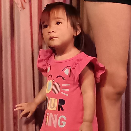 Stream Elvis Presley - Megamix The King - The Rock Years by al rivad ...