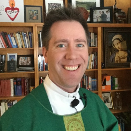 Stream Life Without Salt? - Homily for the 5th Sunday in Ordinary Time ...