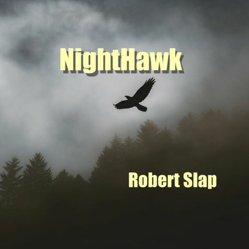 Stream NightHawk by Robert Slap | Listen online for free on SoundCloud