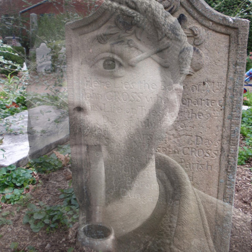 Stream What's That Sound? by Benji Cossa | Listen online for free on ...