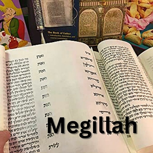 Stream Megillah 12a by Somerton Community Kollel | Listen online for ...