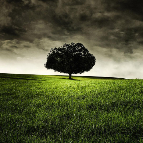 Stream Jay Bat- Dark Beat by Djjay44 | Listen online for free on SoundCloud