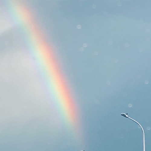 Stream Albert Dong | Listen to College playlist online for free on ...