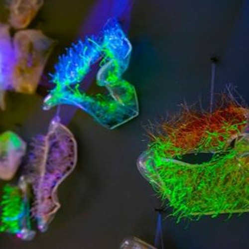 Stream In Search Of Self - intro from artist Charlie Murphy by Barnsley ...