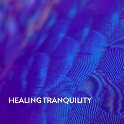 Stream Jack Frater cosmic | Listen to Calming playlist online for free ...