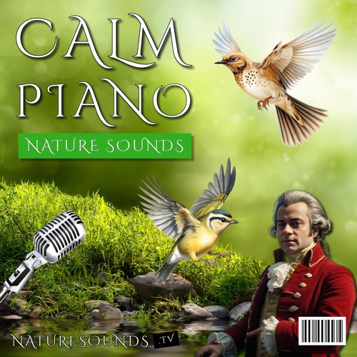 Stream Nature Sounds TV | Listen to Calm Piano Pieces playlist online ...