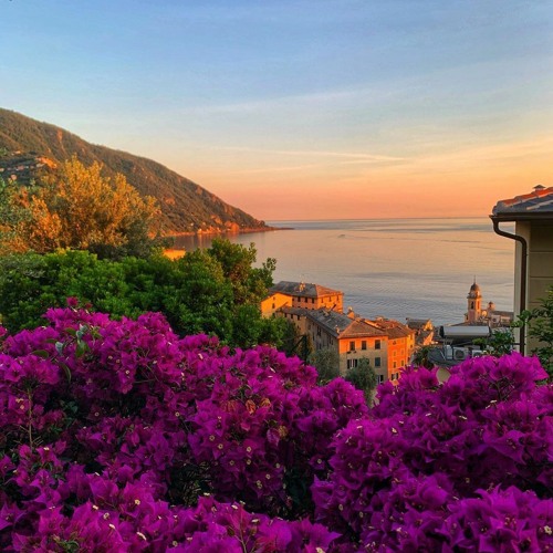 Stream itwasthewires & Marco Lucchi - Solace by Marco Lucchi | Listen ... Stream itwasthewires & Marco Lucchi - Solace by Marco Lucchi | Listen ...