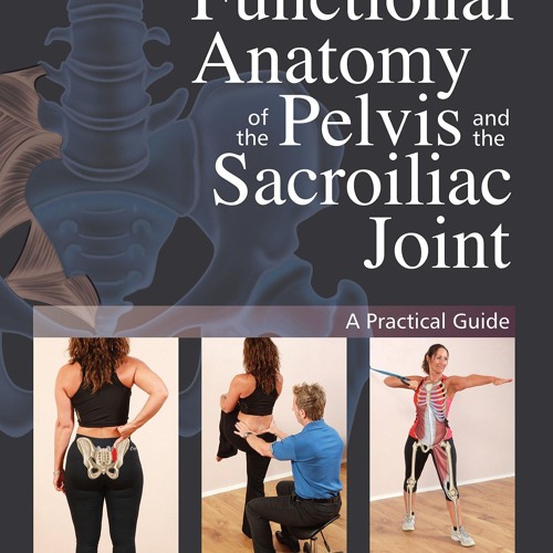 Stream PDF READ Functional Anatomy of the Pelvis and the Sacroiliac ... Stream PDF READ Functional Anatomy of the Pelvis and the Sacroiliac ...