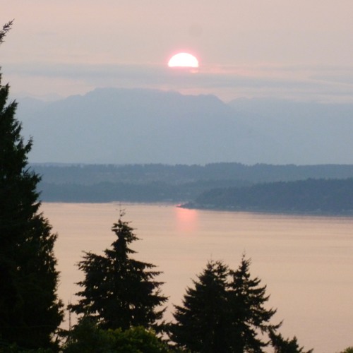 Stream I'd Rather Be Right Here by Alan Ehrlich | Listen online for ...