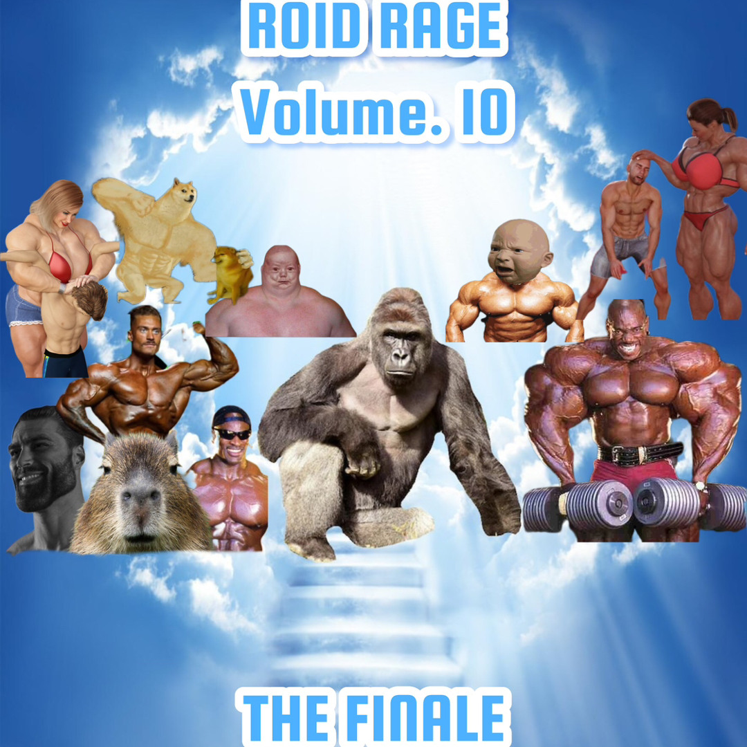 Stream ROID RAGE VOL. 10 (THE FINALE) by MISSION | Listen online for ...