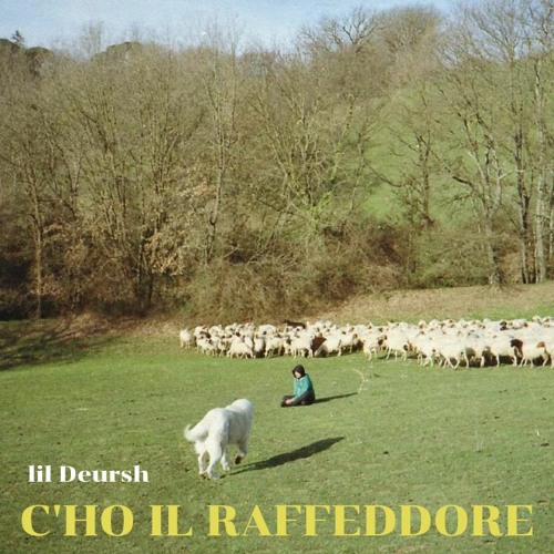 Stream C'HO IL RAFFREDDORE by LilDeursh | Listen online for free on ...