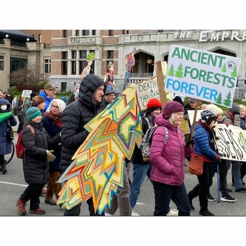 Stream Helen Hall Interview Mar 2023 by Cortes Currents (https ...