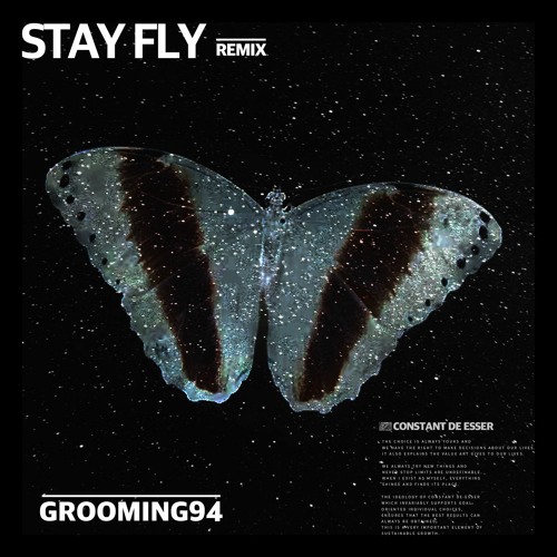 Stream Stay Fly - GROOMING94 Remix by GROOMING94 | Listen online for ...