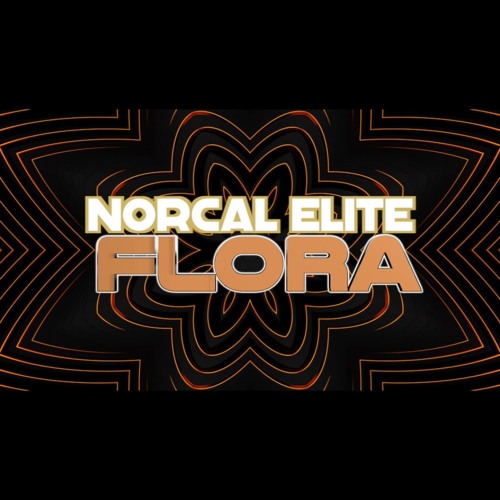 Stream NorCal Elite Flora 2024-2025 by Global Mix | Listen online for ...