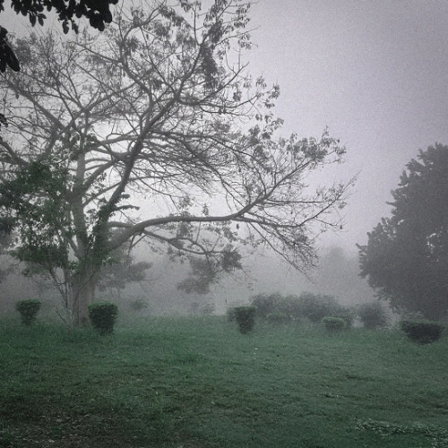 Stream Overhead the Albatross by SoulTurno ESC | Listen online for free ...