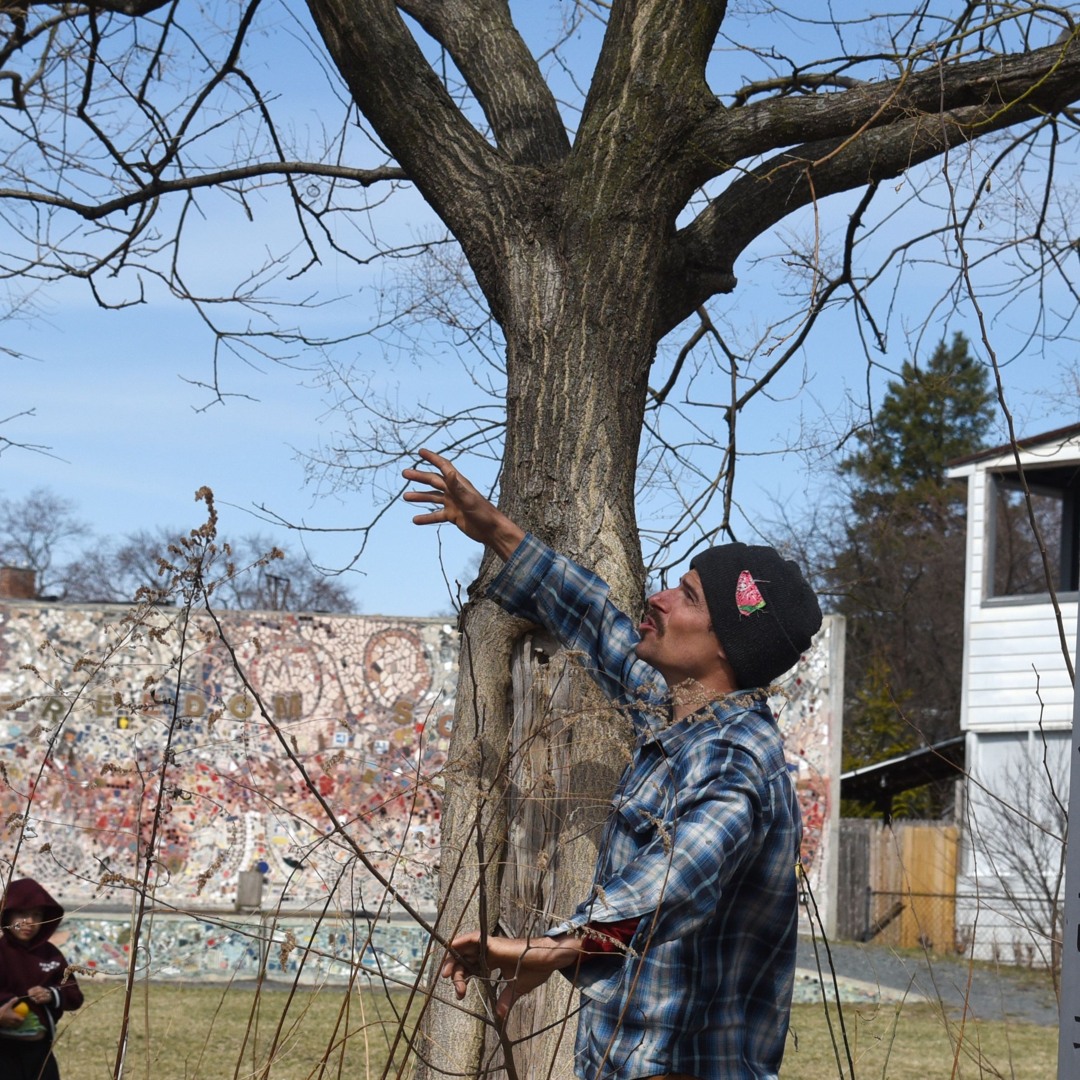 Stream The Tree Philosophy of More Trees Arborist Collective by Hudson ...
