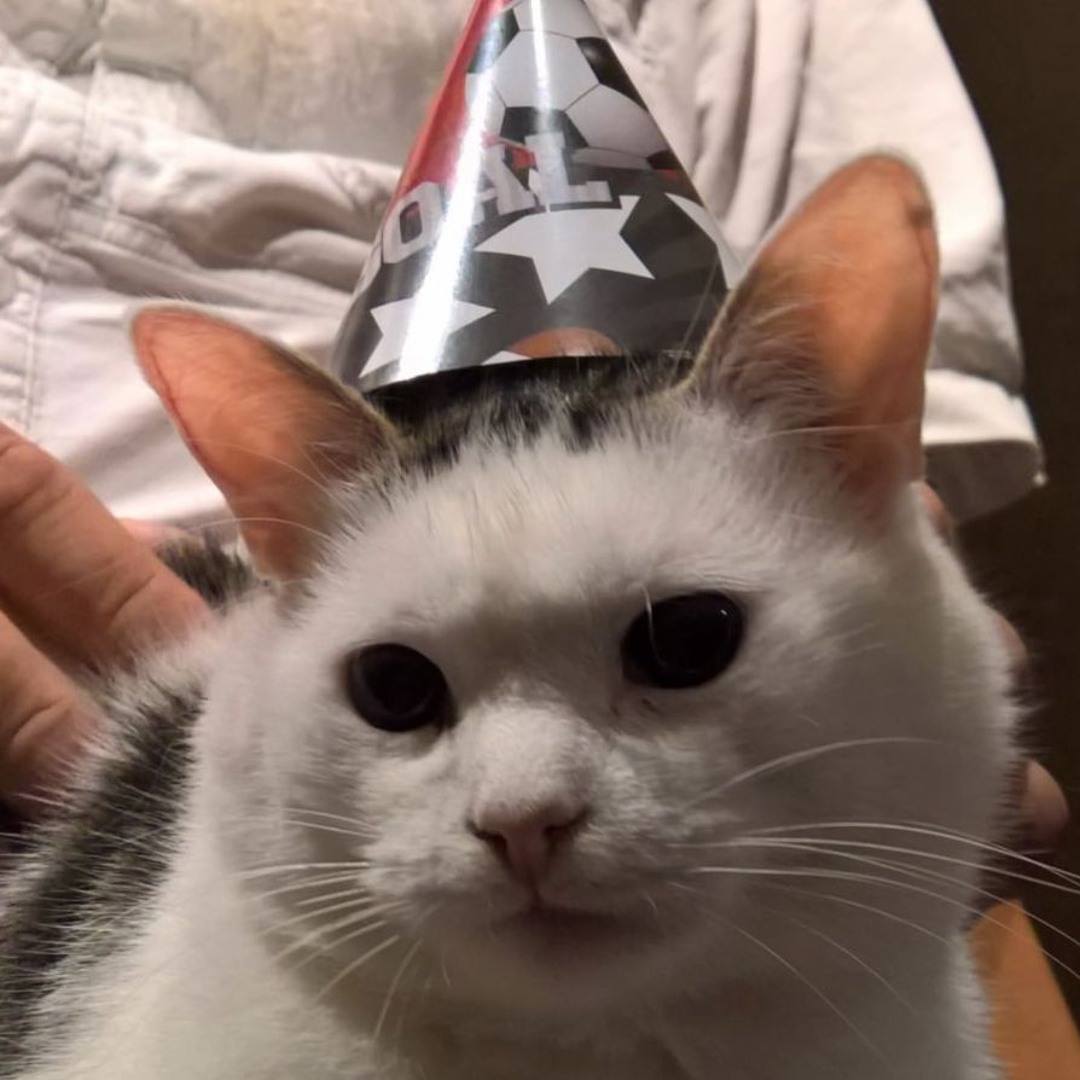 Stream Pathétique - Sonata in C Minor Opus 13 3rd Movement - Beethoven ...