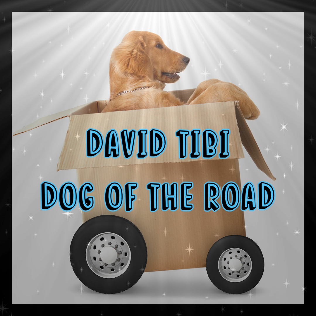 Stream Dog of the Road by David Tibi | Listen online for free on SoundCloud
