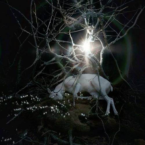 Stream Milly Aye | Listen to marceline and more playlist online for ...