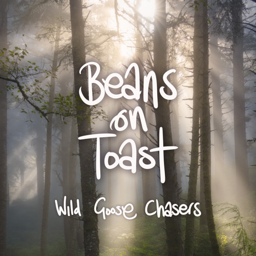 Stream The Bee's Nest in my Pebbledash by Beans On Toast | Listen ...