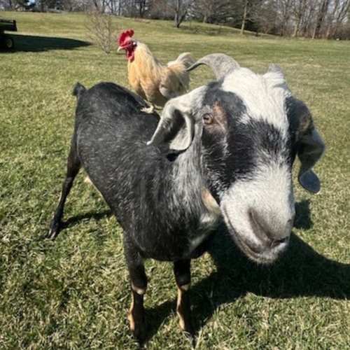 Stream fill up sprite by hydroJnap | Listen online for free on SoundCloud