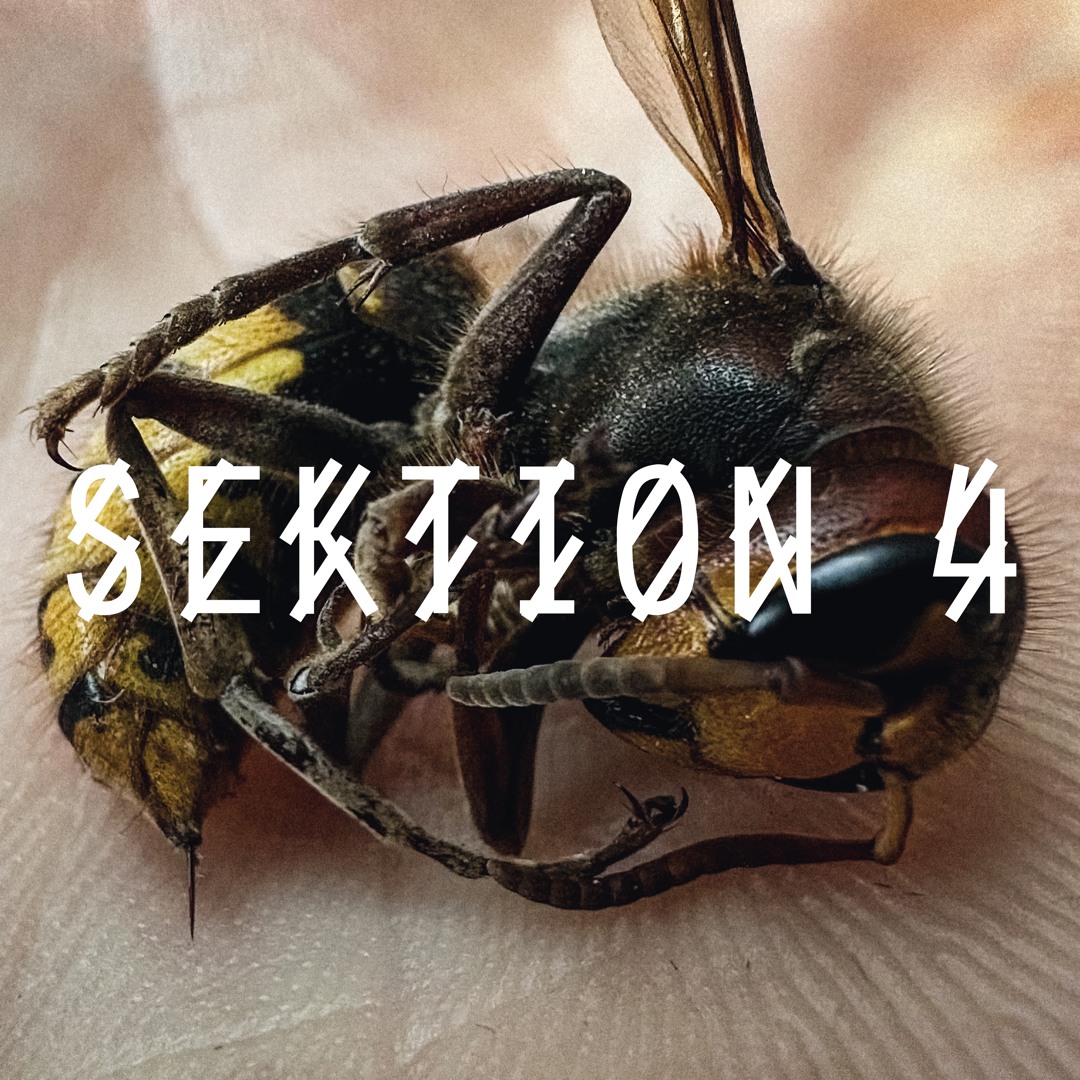 Stream Kobosil | Listen to Various Artists | SEKTION 4 playlist online ...