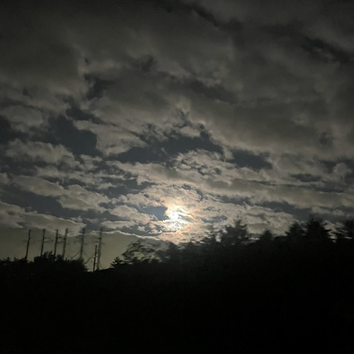 Stream Alexander rAJe by rAJe | Listen online for free on SoundCloud