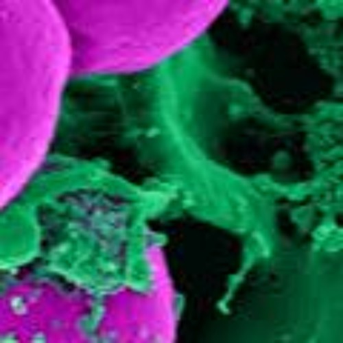 Stream episode ETenorio U3 Act1 Toxinas De Origen Vegetal Y Animal by ...