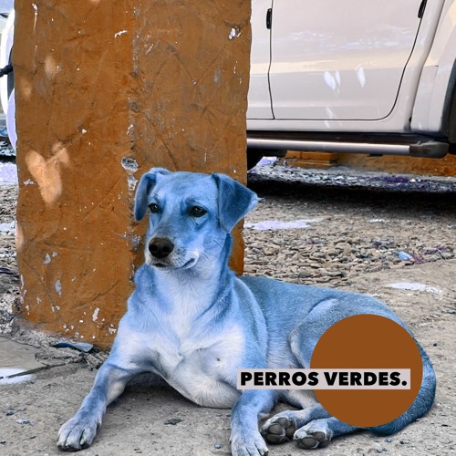Stream PV - EL JEFE MASTER by Perros Verdes | Listen online for free on ...