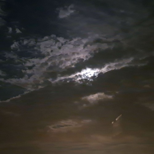 Stream mary by alex g electric instrumental by lavie | Listen online ...