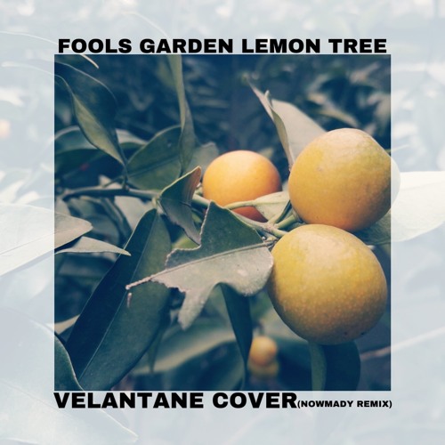 Stream Fools Garden Lemon Tree - Velantane Cover (Nowmady Edit) by ...