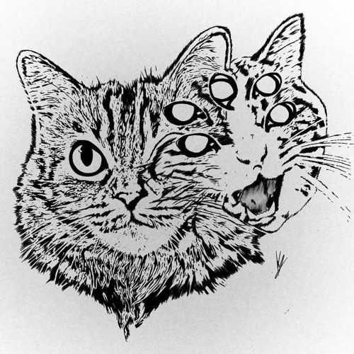 Stream JUXX VOID - WE LUH CATS by VOIIDEXX INCLUSIONS | Listen online ...