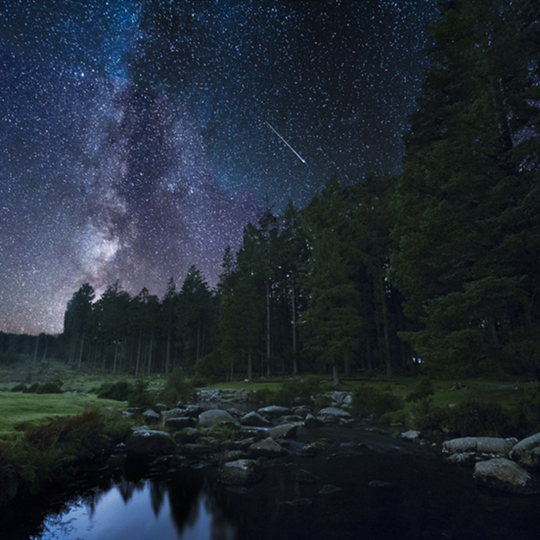 Stream Sparta Latin Remix by ShavelWavys | Listen online for free on ...