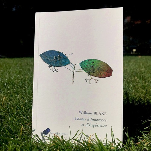 Stream William Blake - Chants d'Innocence et d'Expérience by Éditions ...